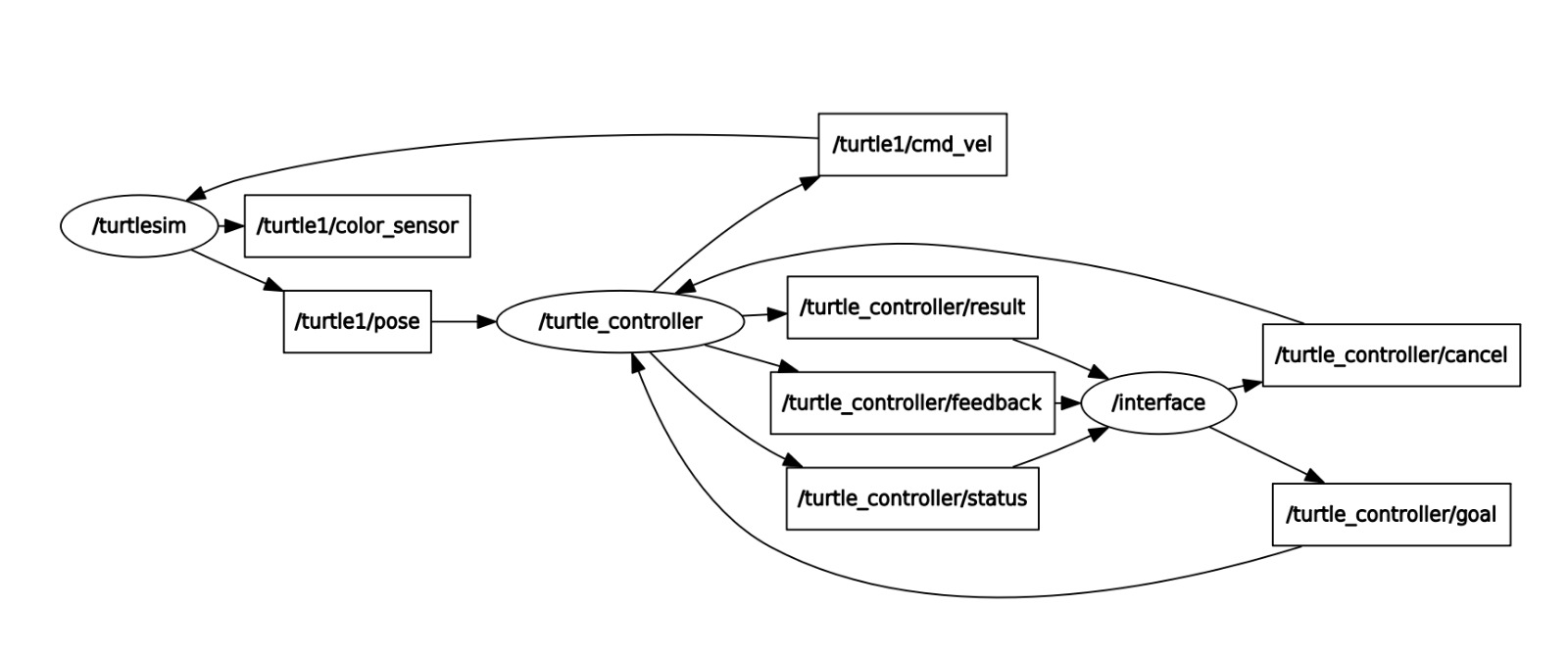 Crazy Turtle - Filip Bjelonic